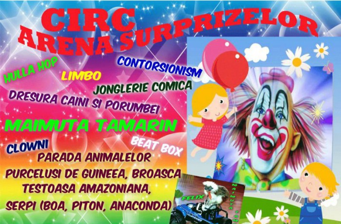 Circ - Arena Surprizelor, evenimente Bucuresti: Sky Trip